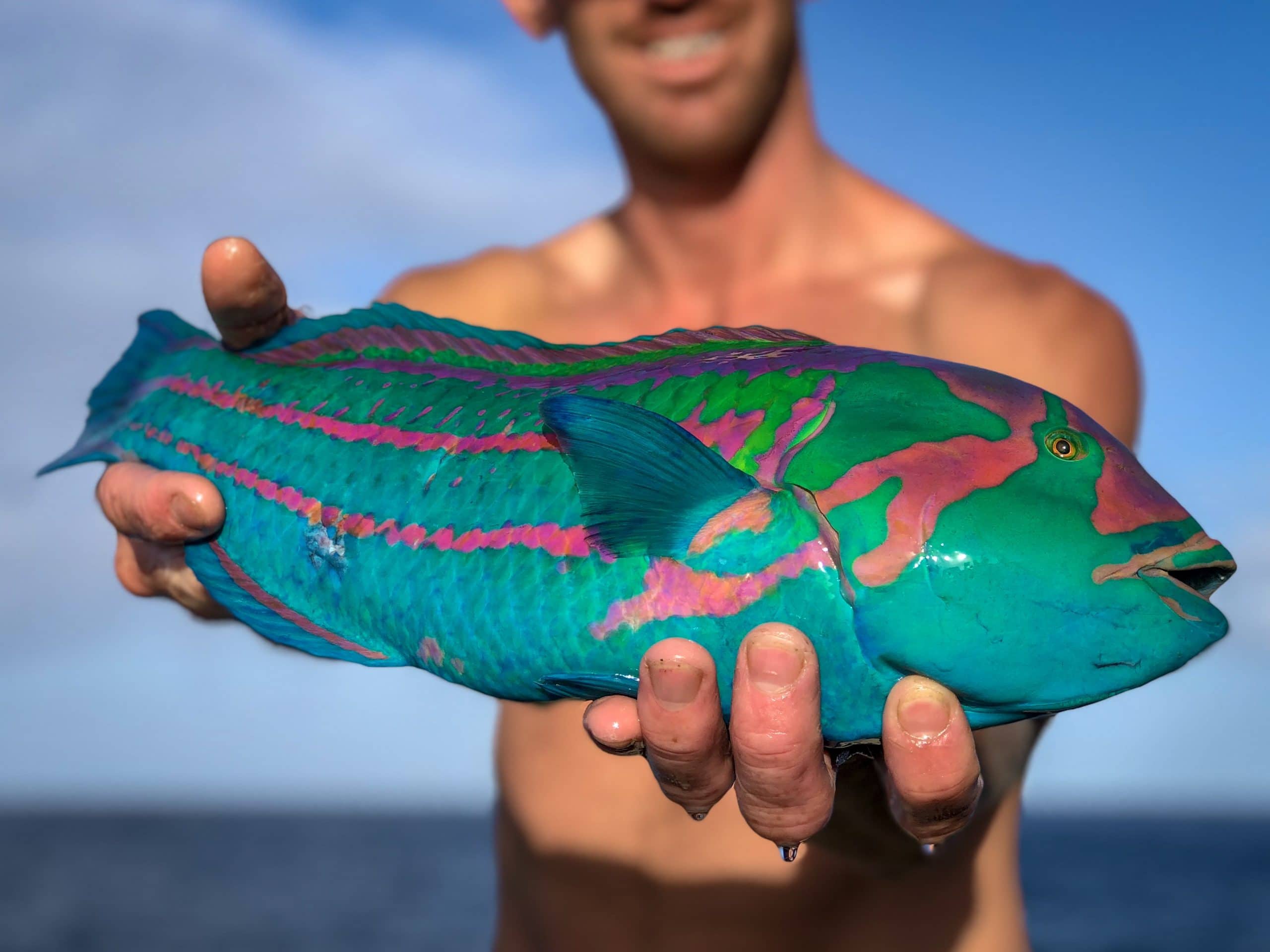 Fishing Industry Roundup: Meet the founder of Hashtag and Release