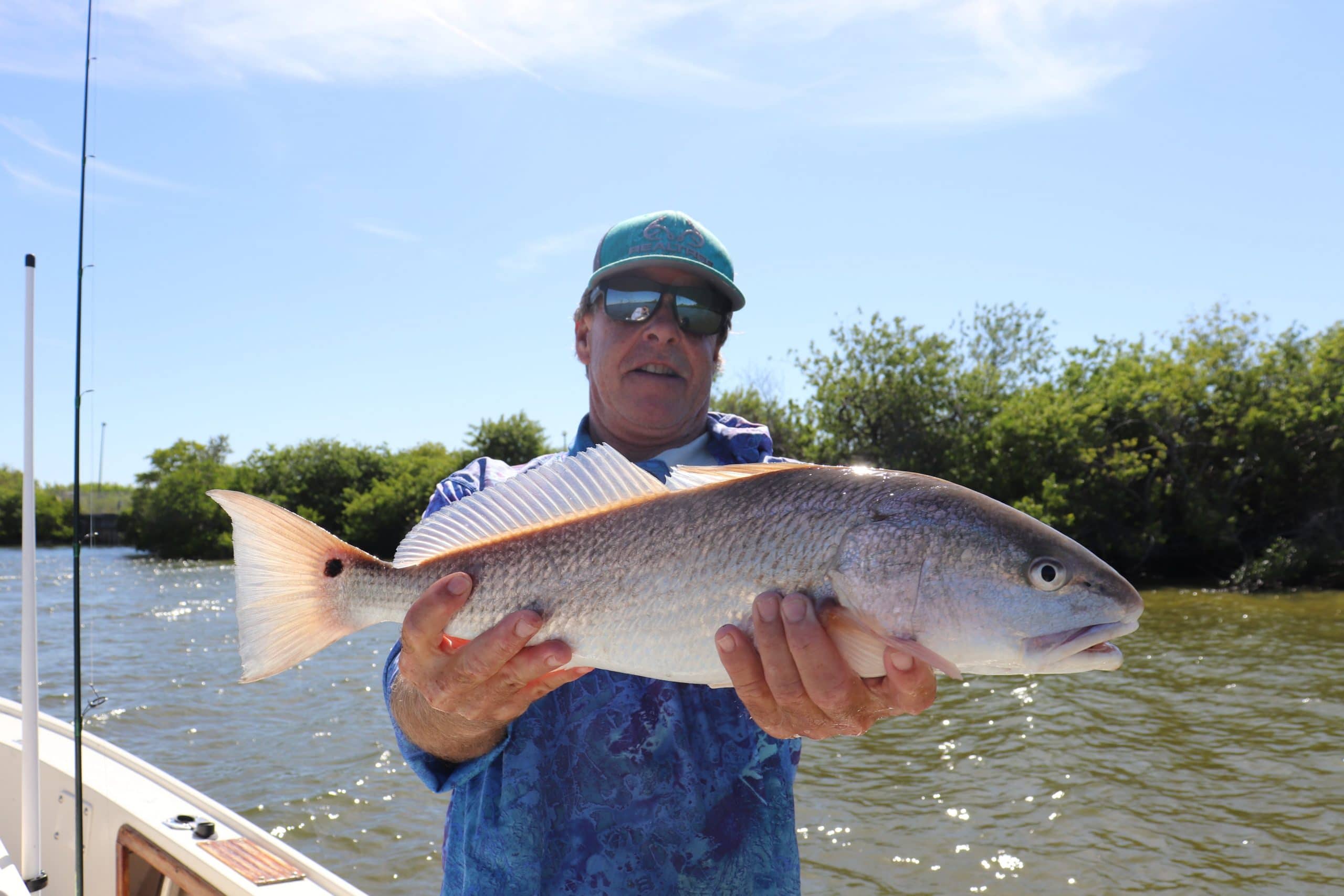 Fishing Report from Tampa Bay - Late October Morning - Boatsetter